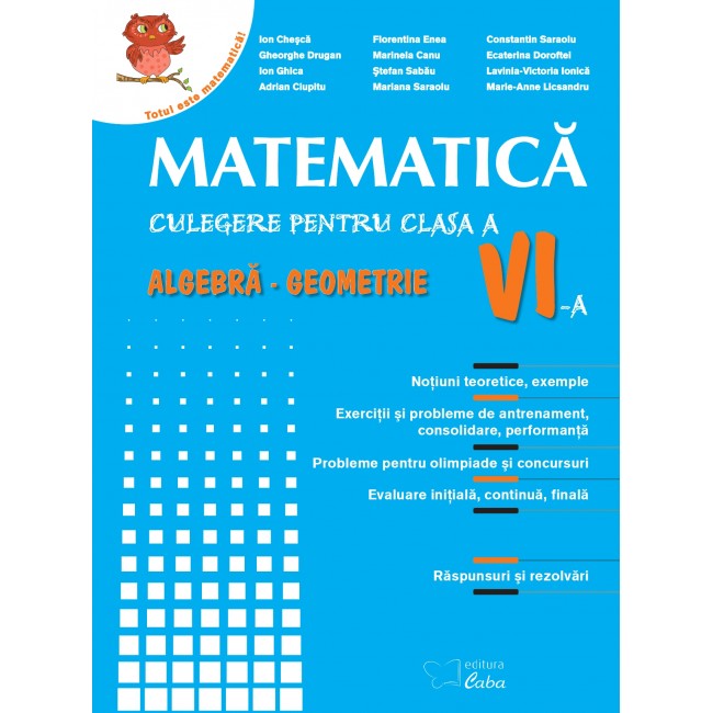 Matematica - culegere pentru clasa a VI-a