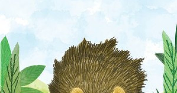 Carte de colorat: Ariciu Piciu pentru 2 ani + - 978-606-8537-46-7